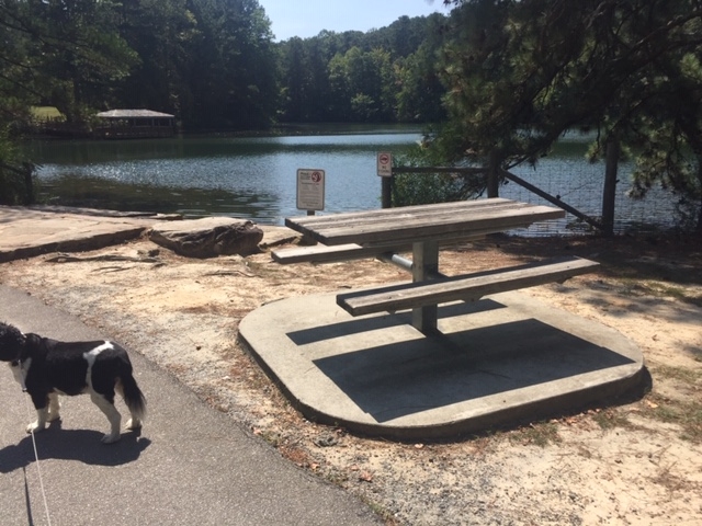 Suwanee, Georgia: Sims Lake Park - wheelchairtraveling.com