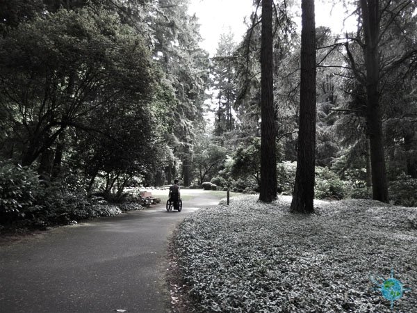 Portland, Oregon: Wheelchair Access Travel Tips - wheelchairtraveling.com
